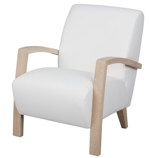 Elin Sessel - Frei wählbare Farbe! + Möbelpflegeset für Textilien ...